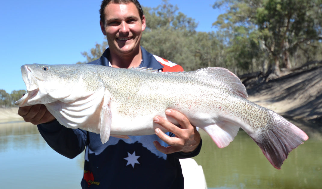 5 ways to catch Murray Cod – Trellys