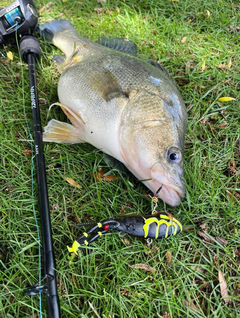 Trellys Fishing Report