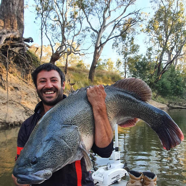 Trellys Fishign Report - 1 Meter Cod Shepparton!