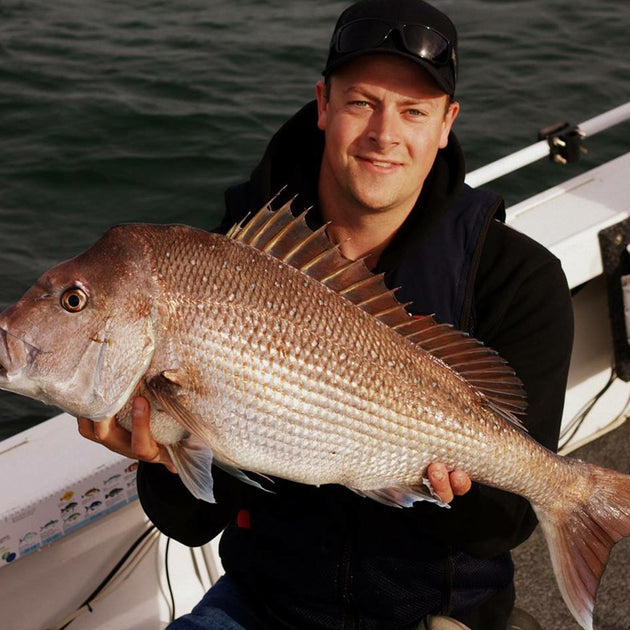 How to Catch Snapper – Tagged "Octopus Circle Hook"– Trellys