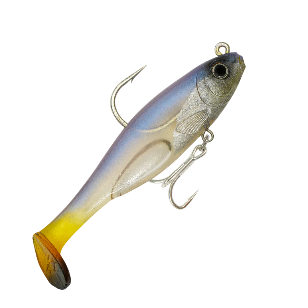 Fishcraft Dr Shad – Trellys